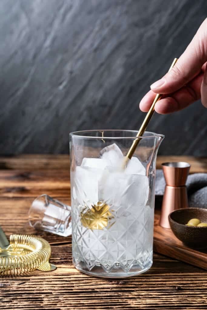 Gin Martini Recipe - Twist and Toast