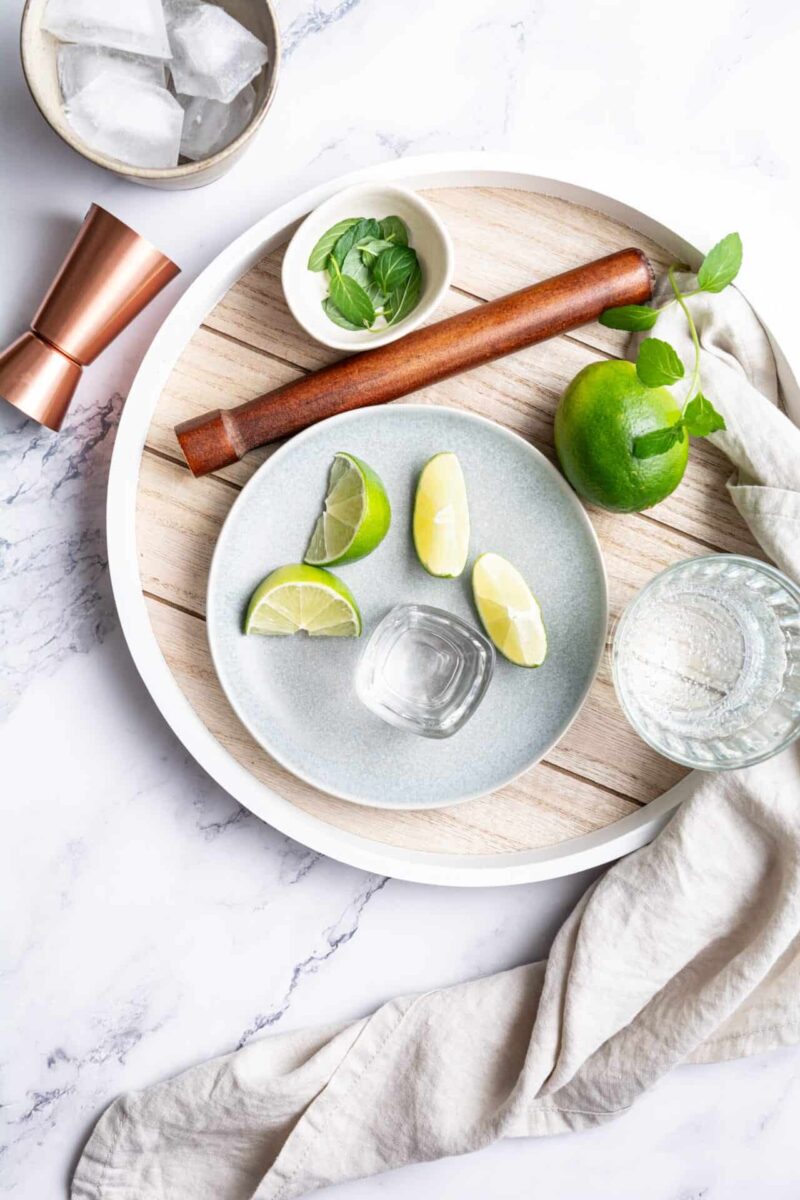 Frozen Mojito - Twist and Toast