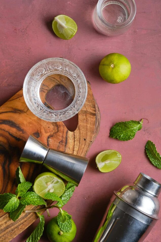 Gin Mojito - Twist and Toast