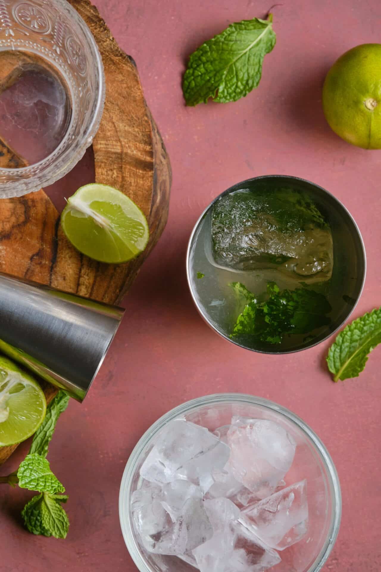 Gin Mojito - Twist and Toast