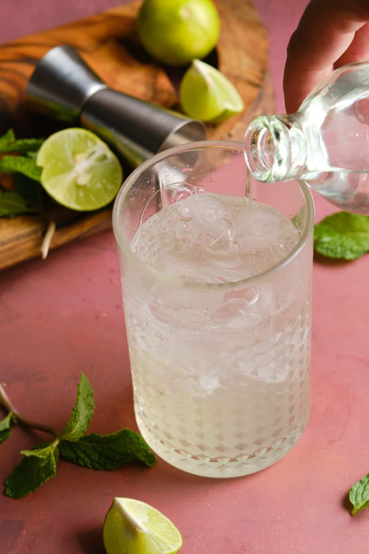 Gin Mojito - Twist and Toast