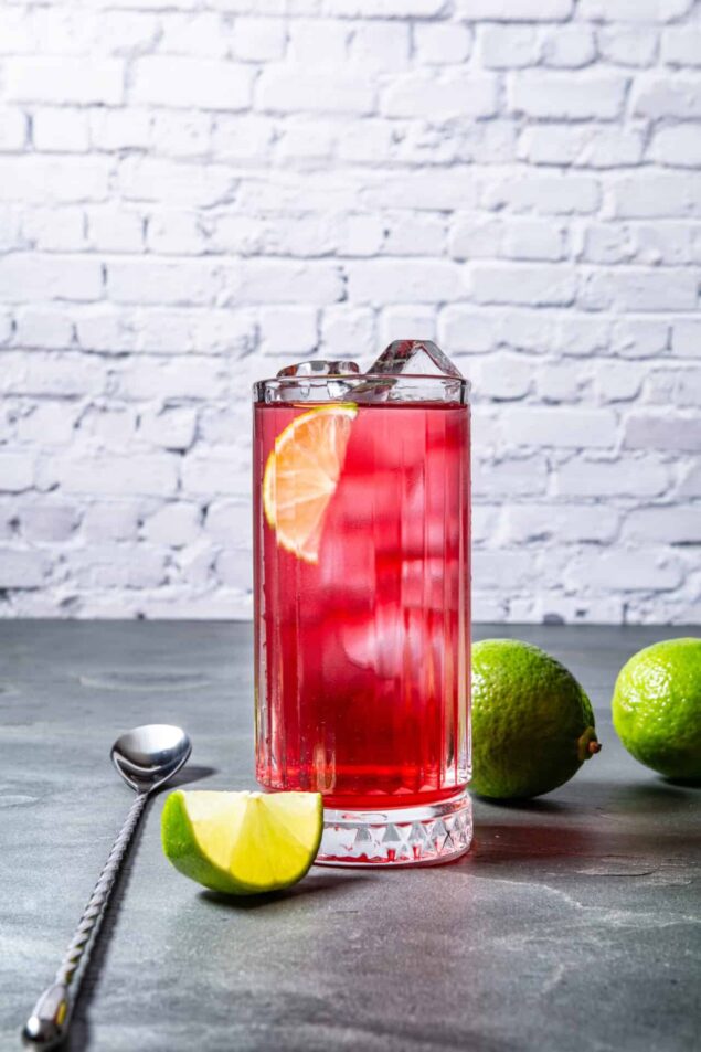 Cape Cod Drink - Twist and Toast