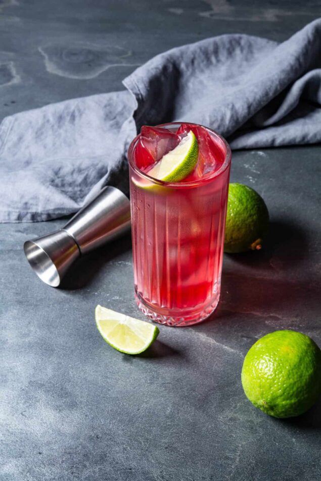 Cape Cod Drink - Twist and Toast