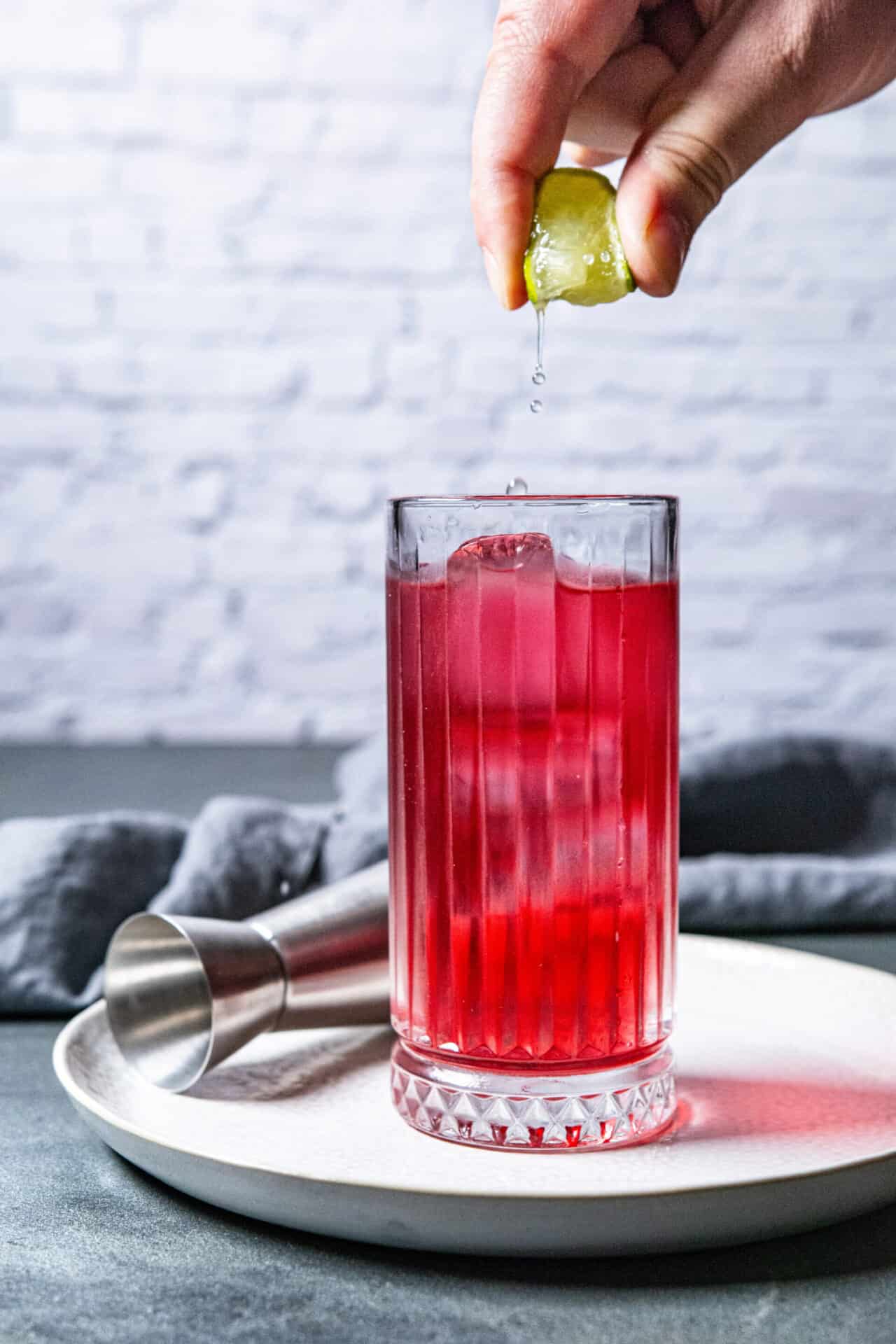 Cape Cod Drink - Twist and Toast