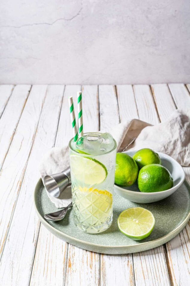 Vodka Spritzer - Twist and Toast