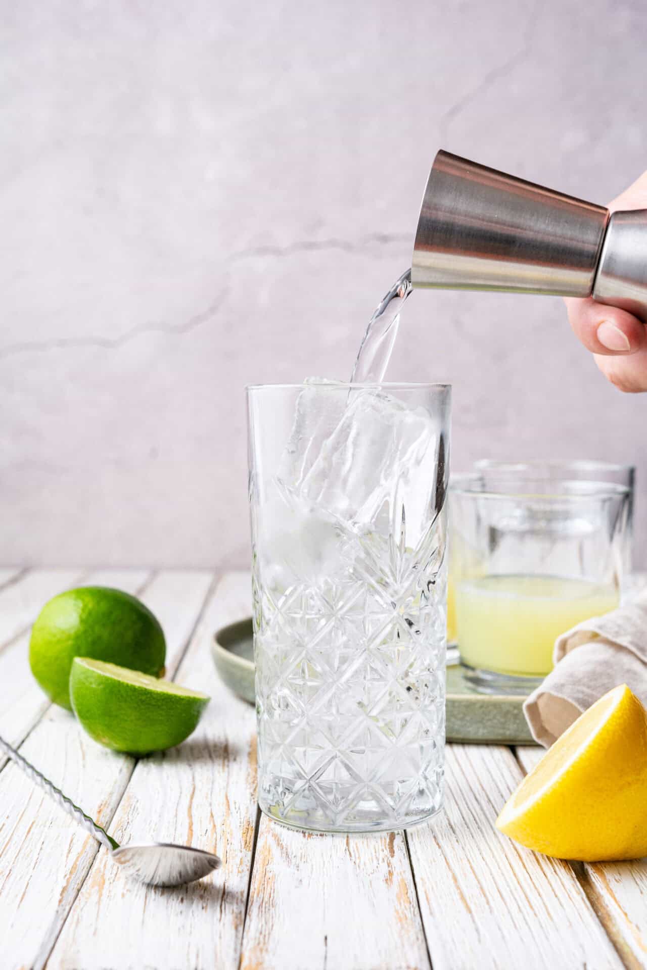 Vodka Spritzer - Twist and Toast