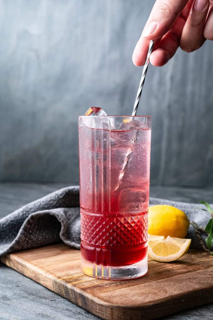 Sloe Gin Fizz - Twist and Toast