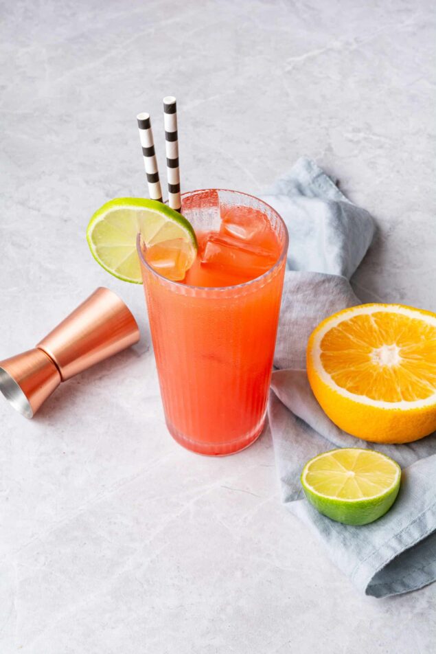 Rum Punch Recipe - Twist and Toast