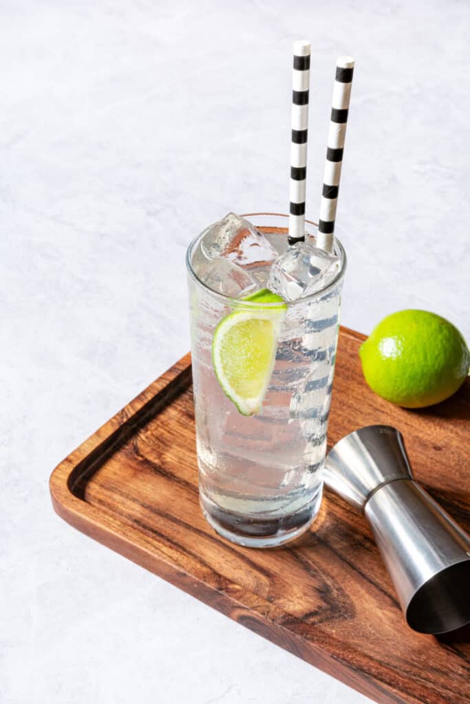 Vodka and Ginger Ale - Twist and Toast