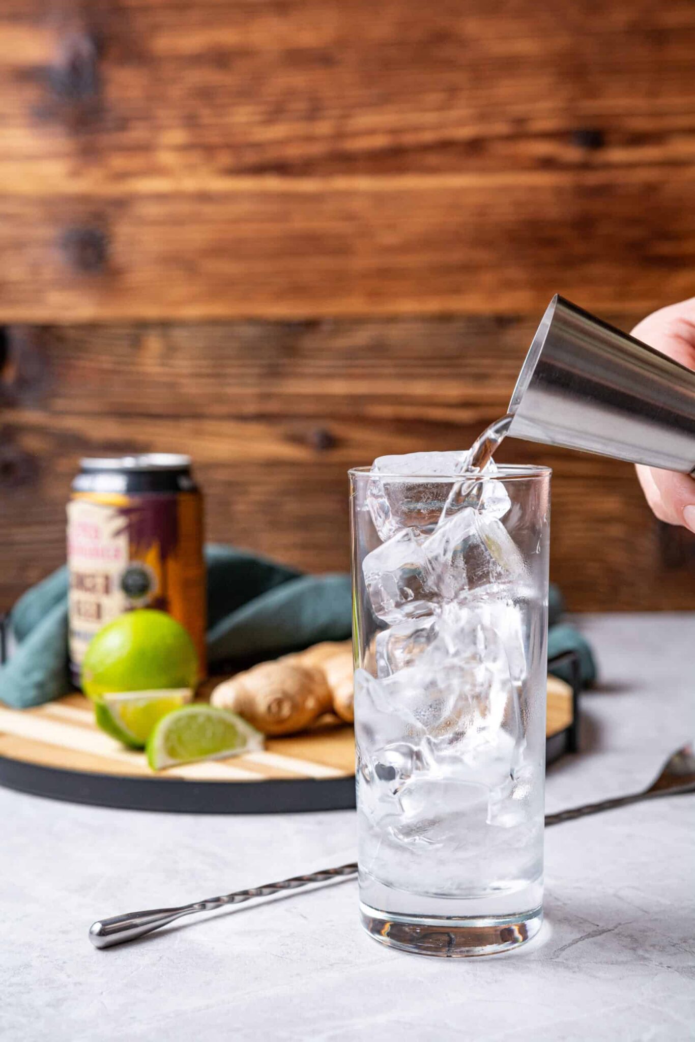 Vodka and Ginger Ale - Twist and Toast