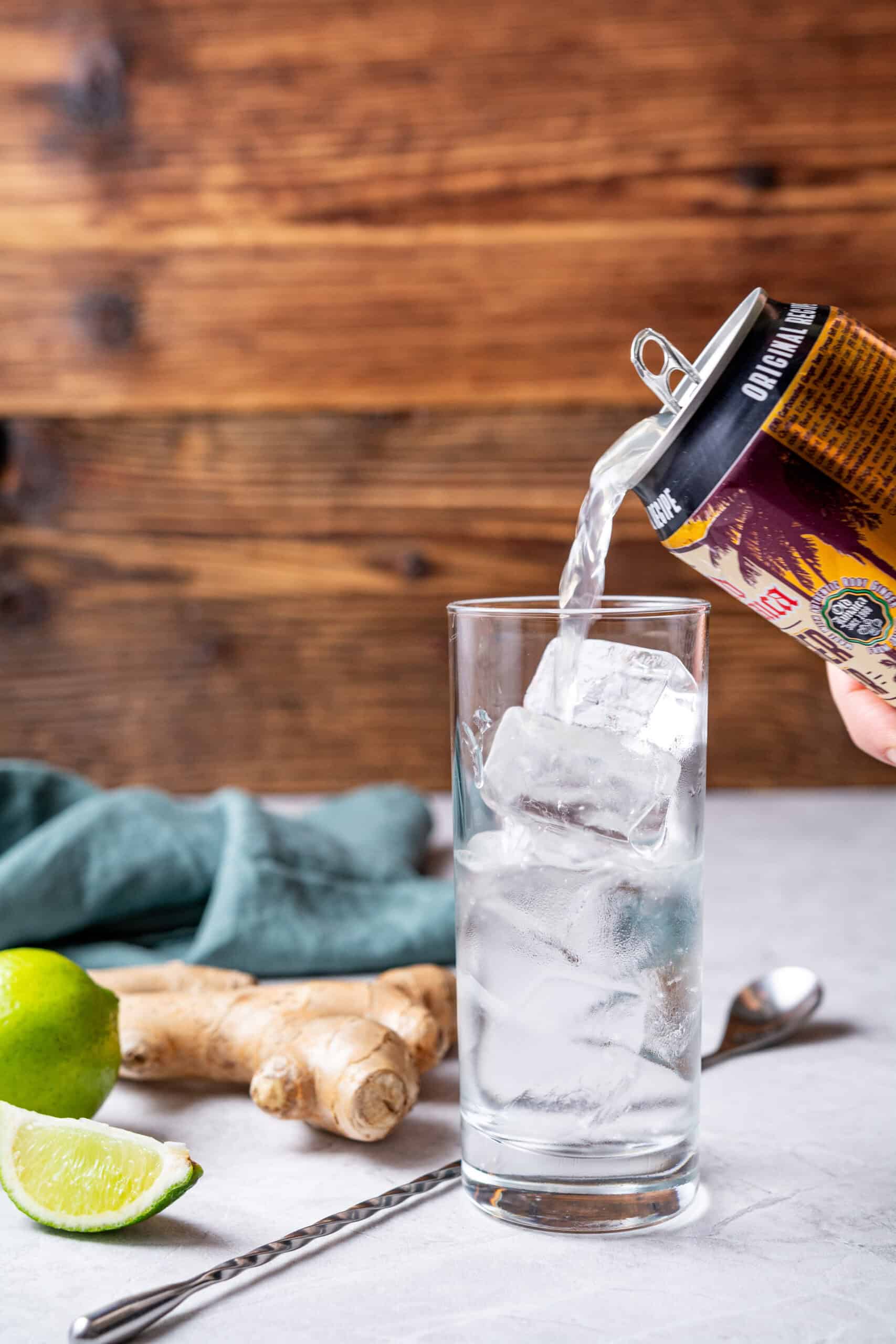 Vodka and Ginger Ale - Twist and Toast