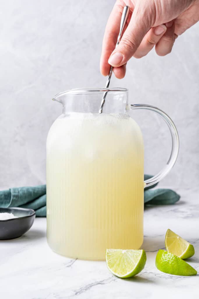 Margarita Pitcher Recipe - Twist and Toast