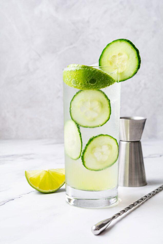 Cucumber Gin Fizz - Twist and Toast
