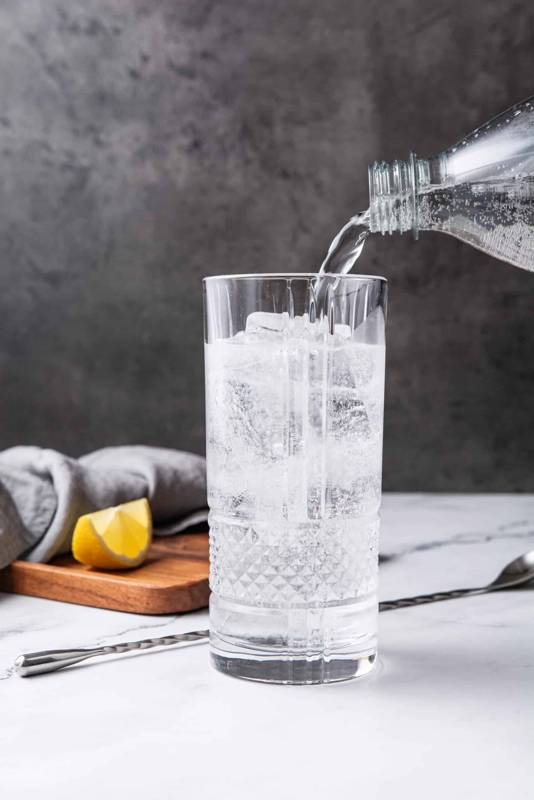 Gin and Soda - Twist and Toast