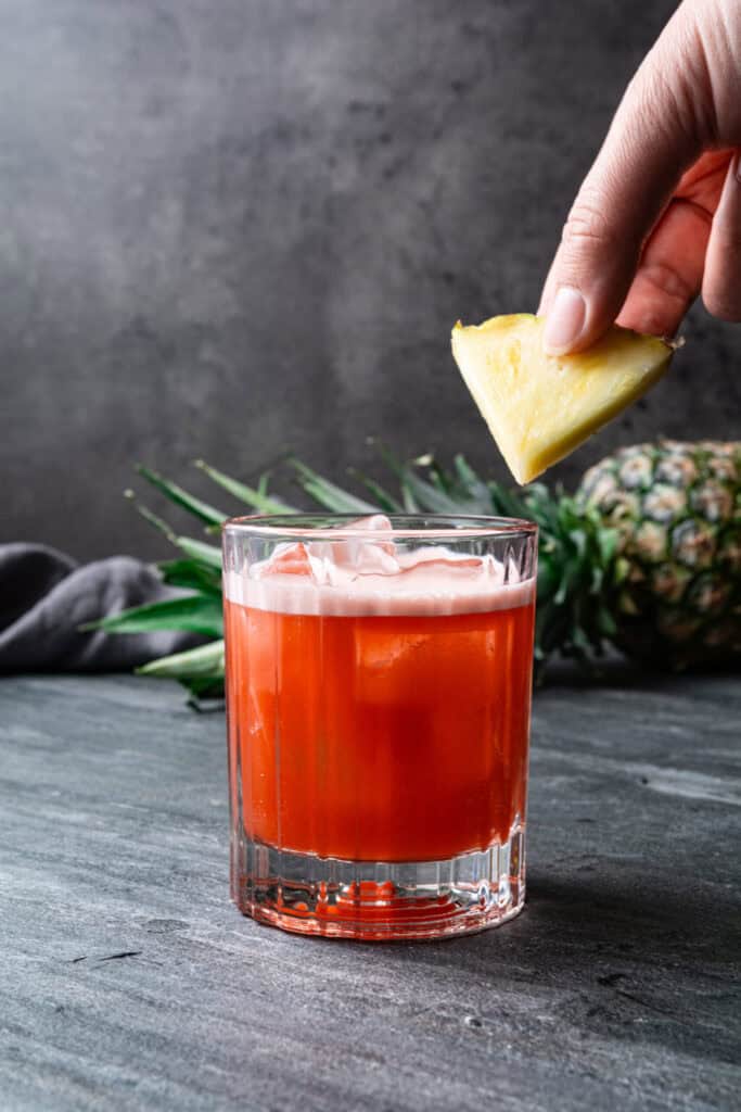 Jungle Bird Cocktail - Twist and Toast