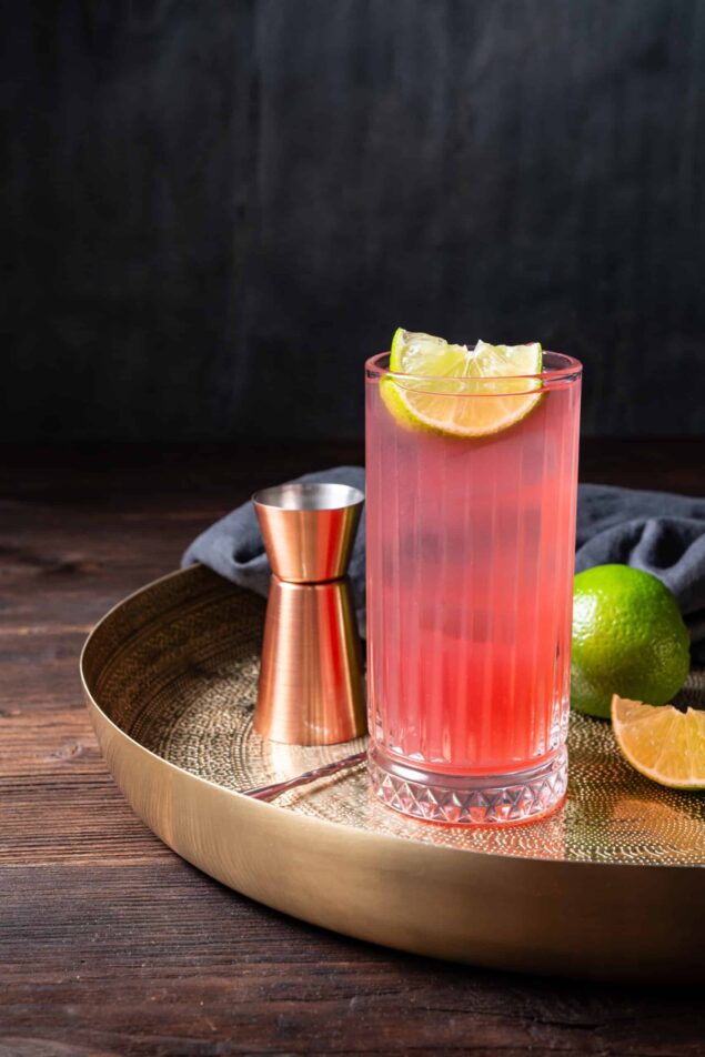 Madras Cocktail - Twist and Toast