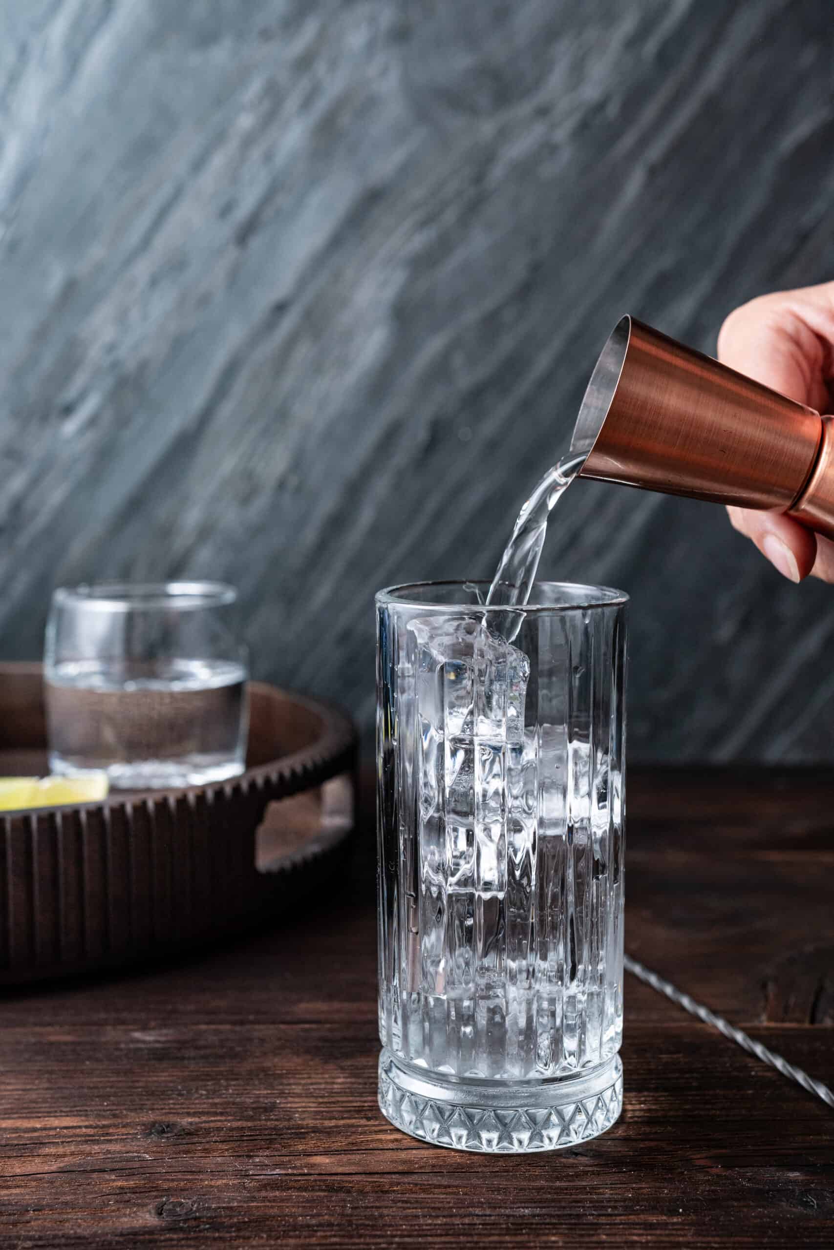 Vodka Tonic - Twist and Toast