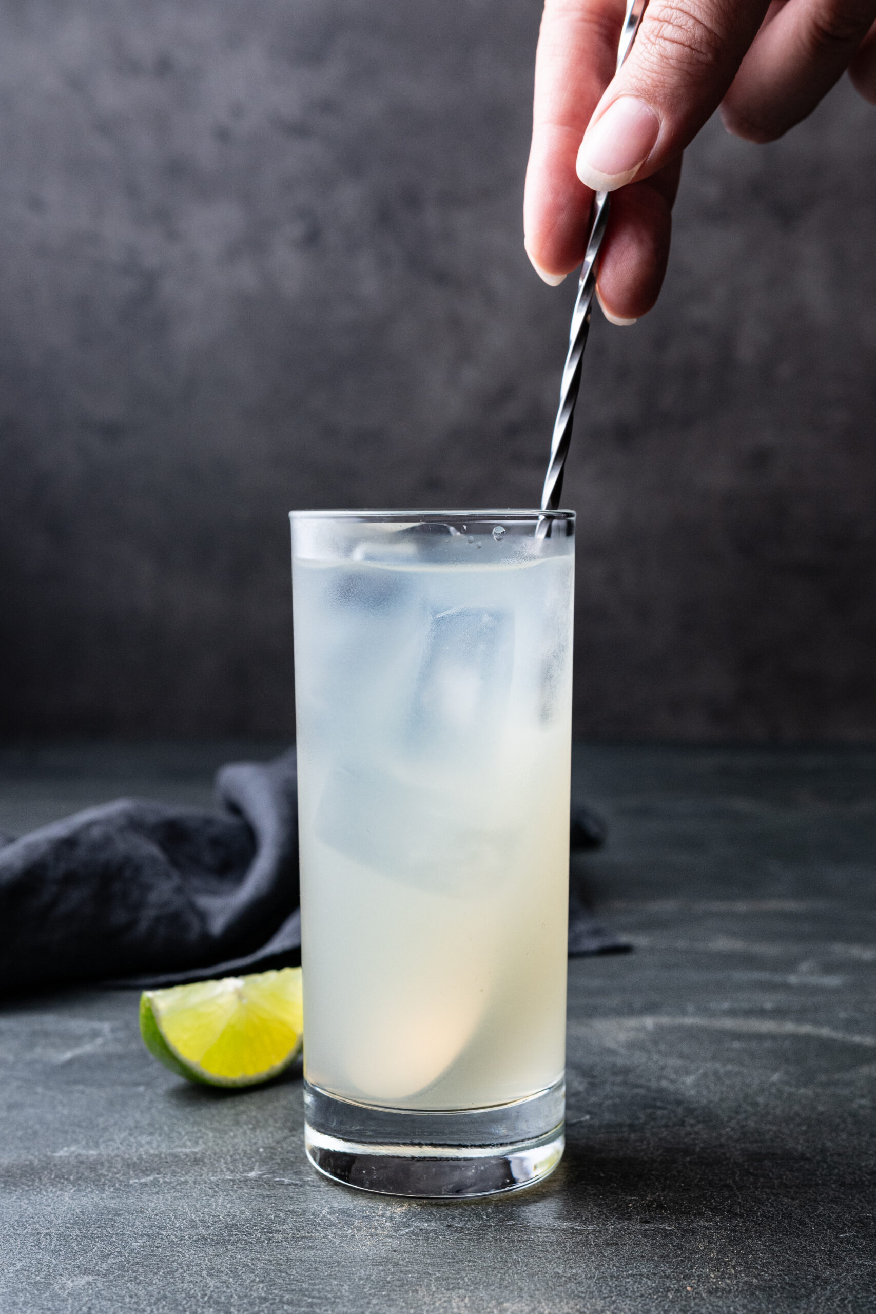 Gin And Ginger Beer - Twist and Toast