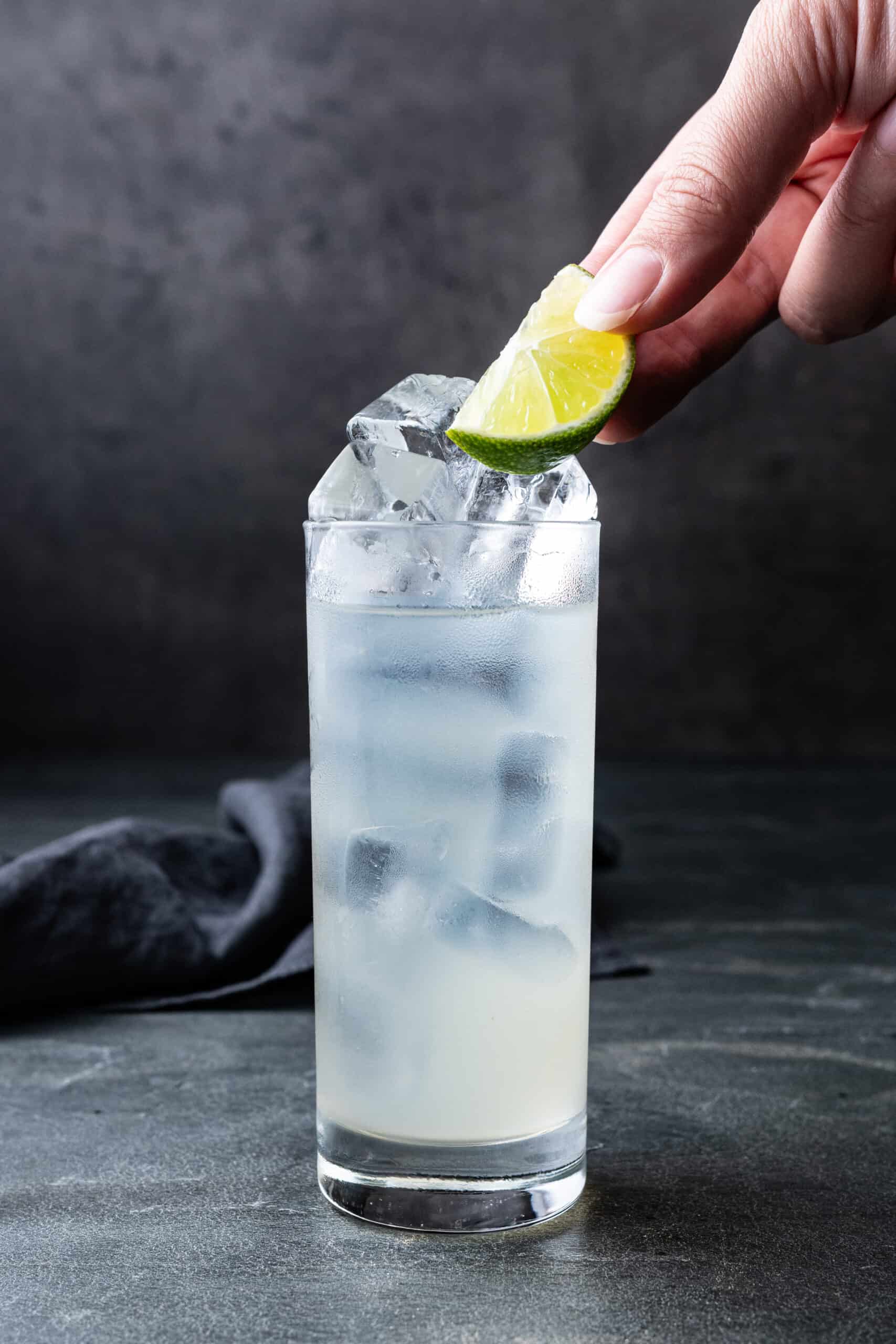 Gin And Ginger Beer - Twist and Toast